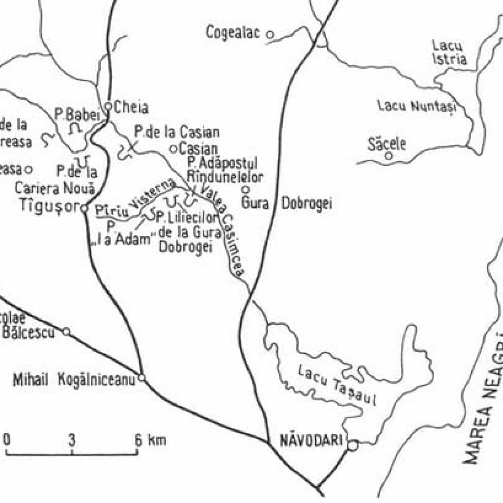 Munții de coral de la Crucea, Dobrogea - Revista România Culturală